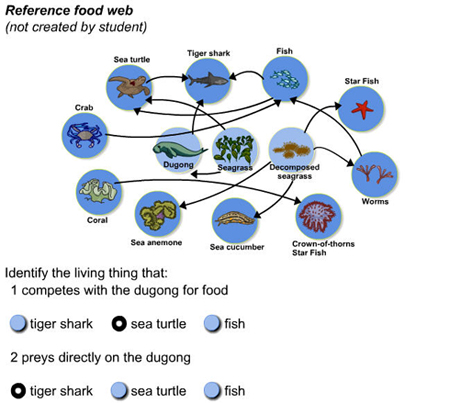 Dugong dilemma: assessment: teacher guide