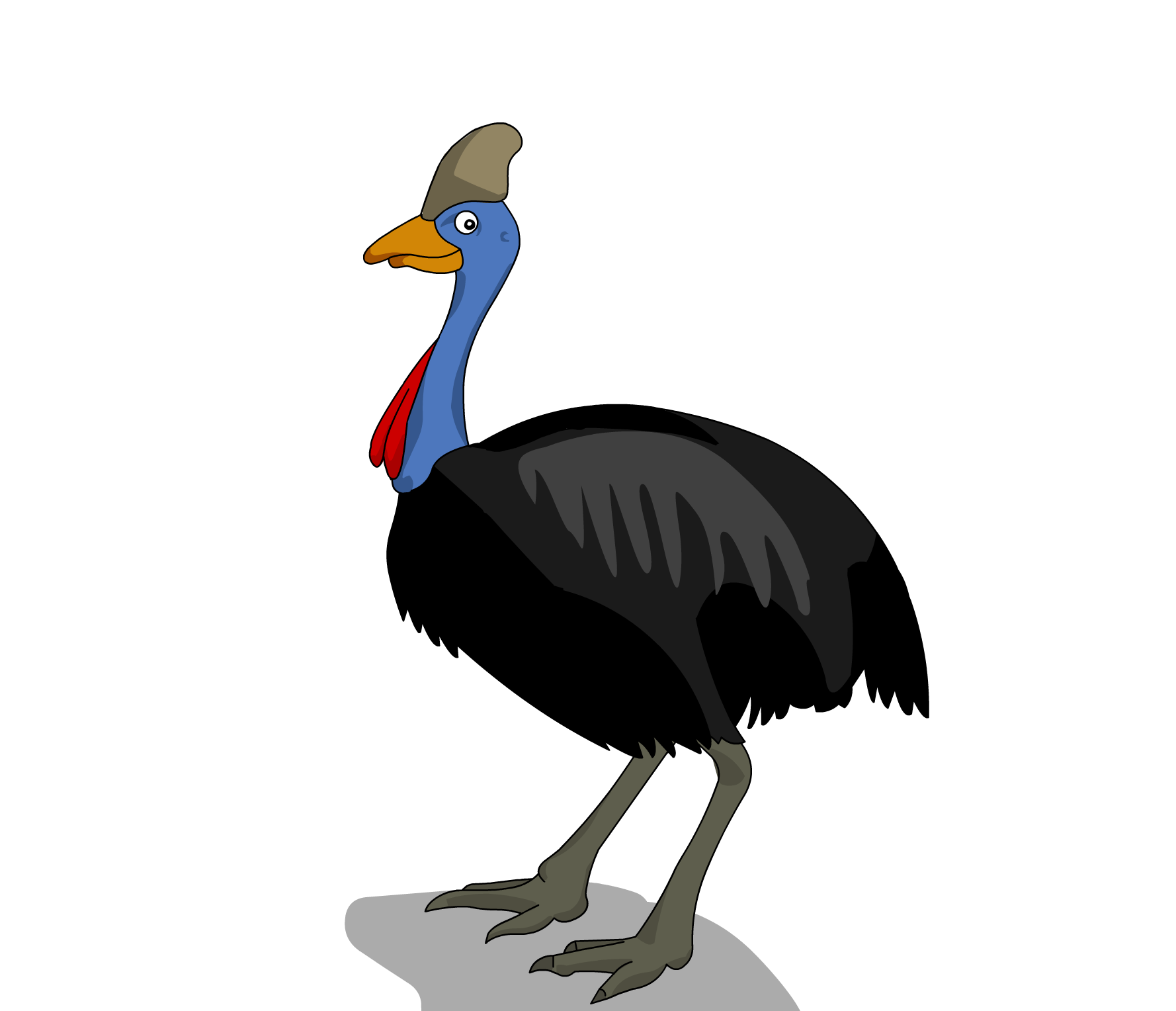 Cassowary sanctuary