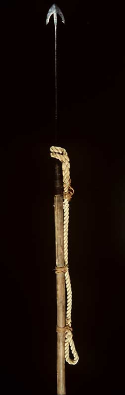 Whale harpoon