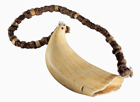 Tabua (ceremonial whale tooth), c1800s