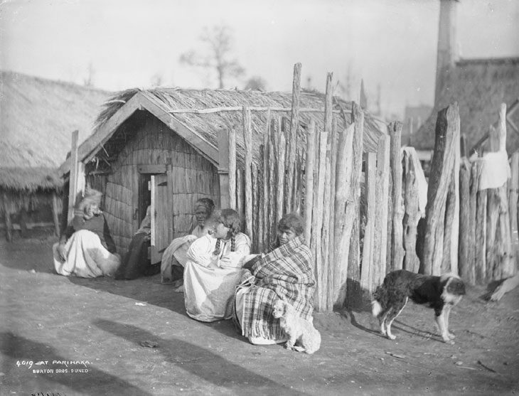'At Parihaka', c1887